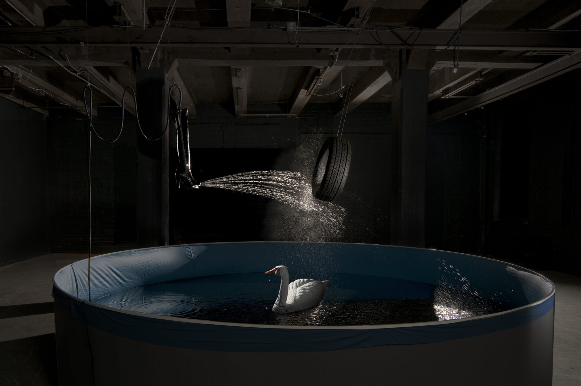 Goose Steppers Tears | Jay Younger